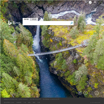 必应网_cn.bing.com